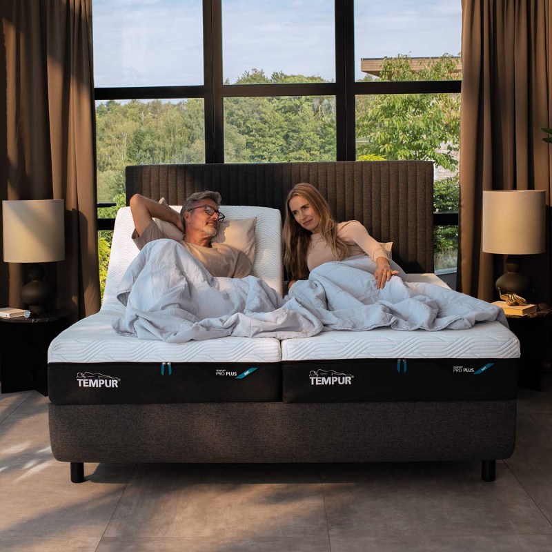 Tempur Arc Adjustable Disc Base - TR Hayes